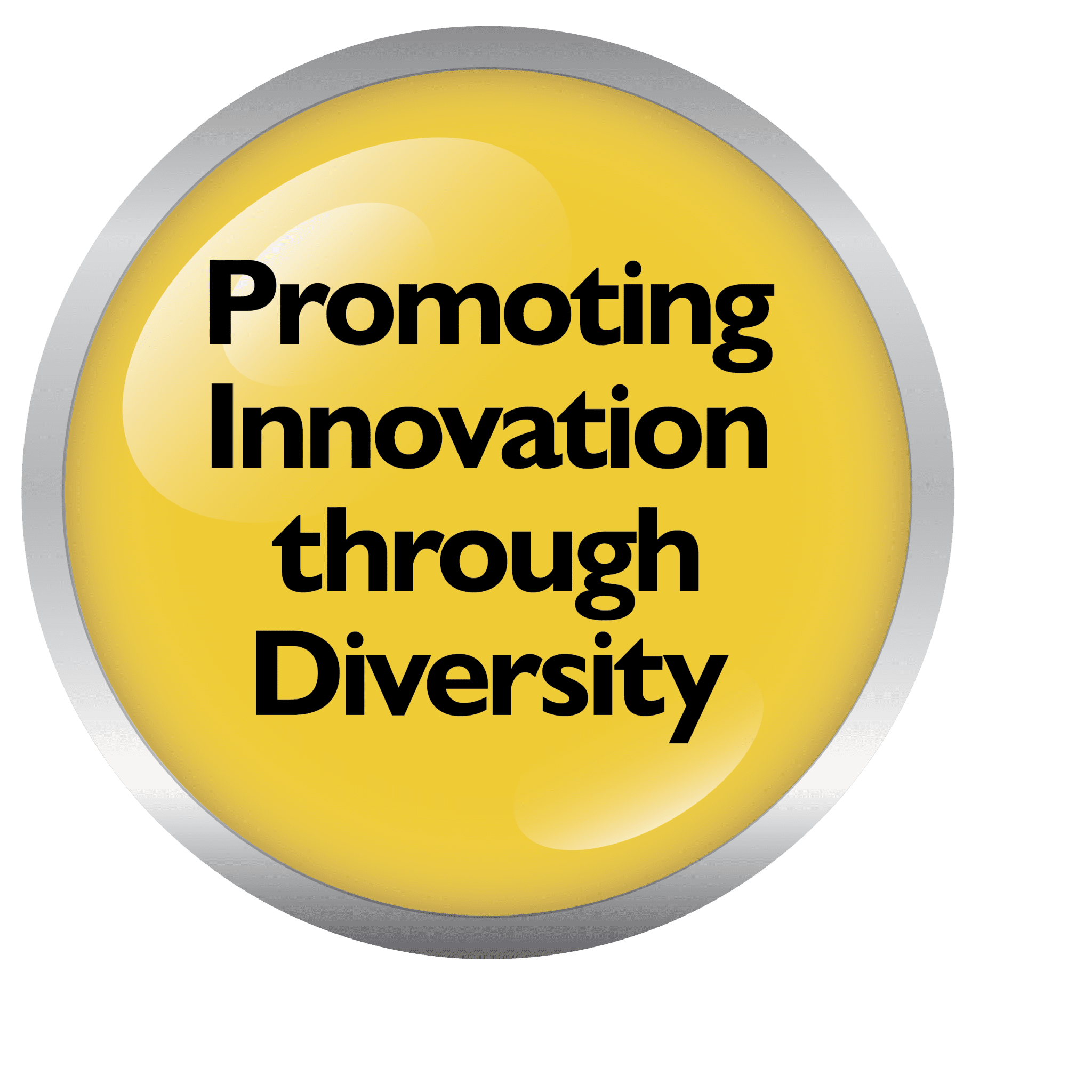 Promoting Innovation Through Diversity - SPICE Framework
